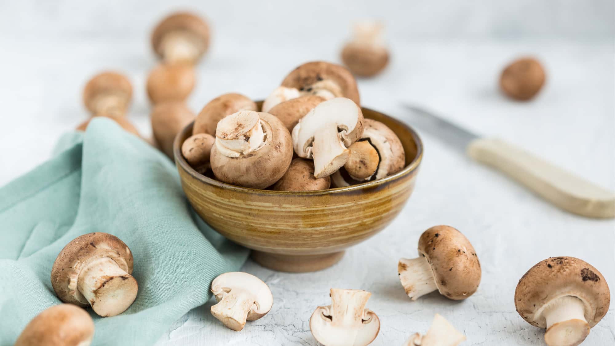 Champignon: Kalorien, Mineralstoffe und mehr